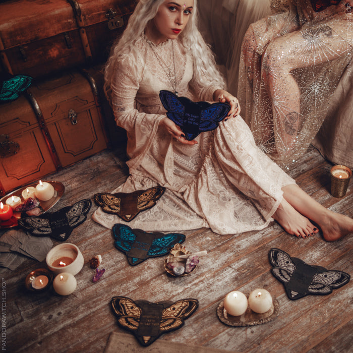 Tarot Board Card of the Day - BLACK AND VIOLET DEATH'S HEAD MOTH