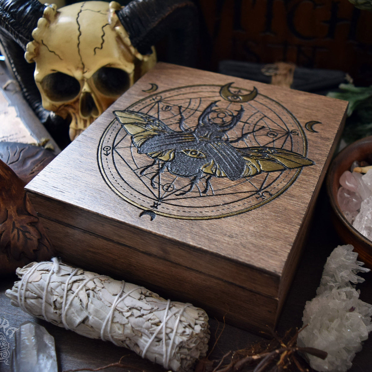 Box - Magic Beetle