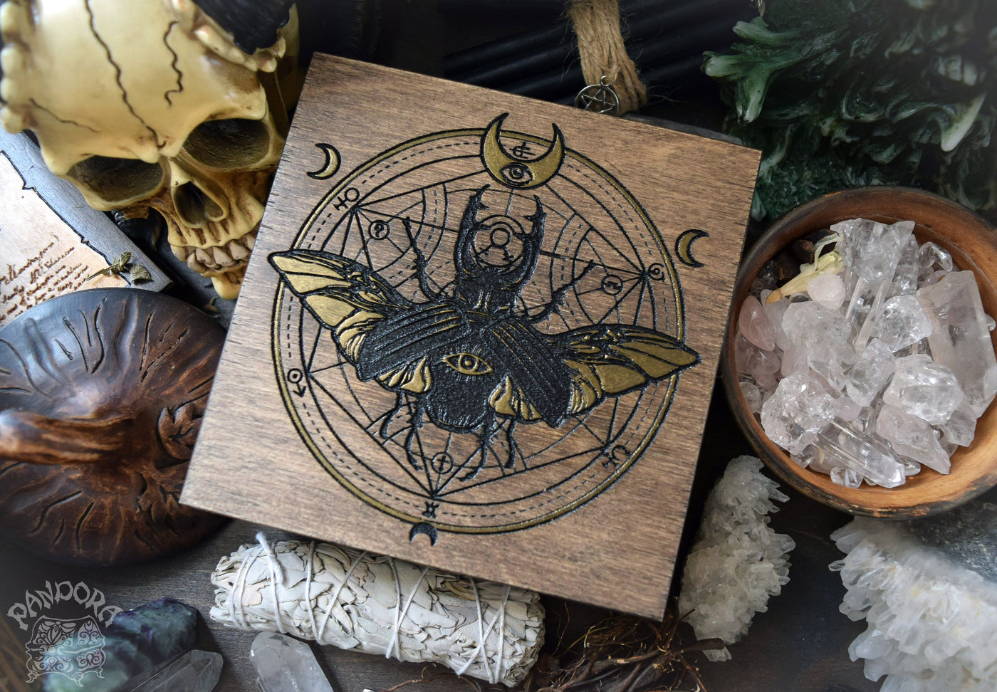 Box - Magic Beetle