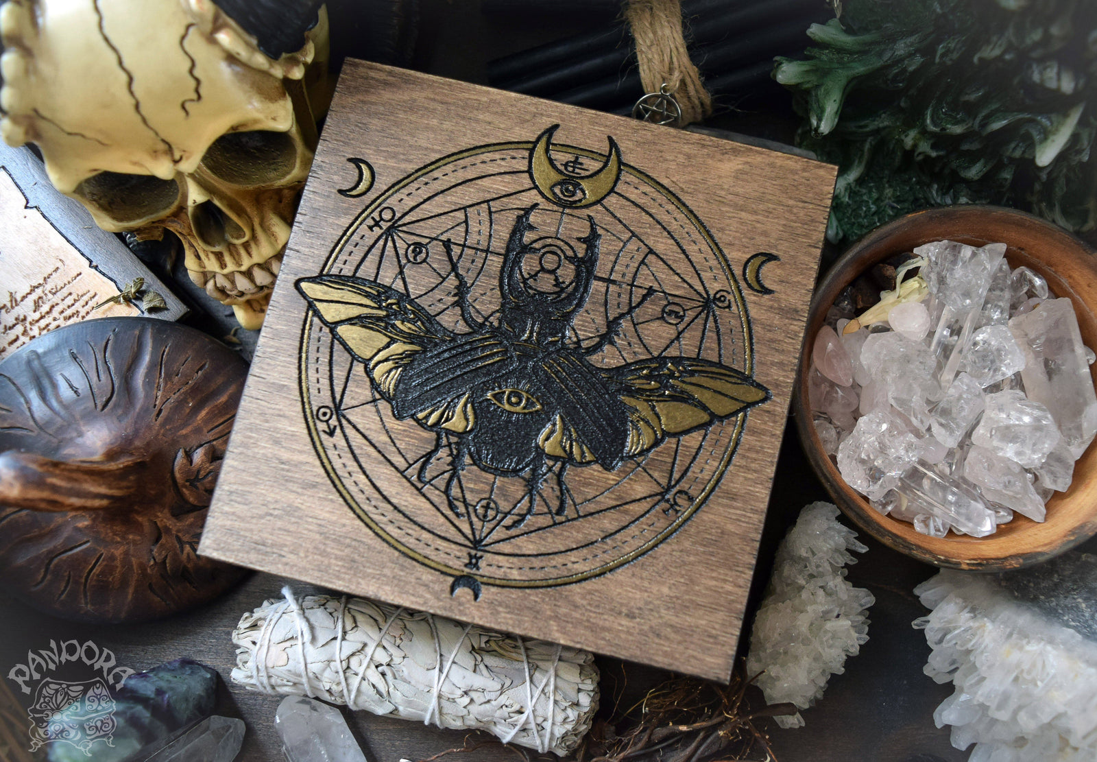 Box - Magic Beetle
