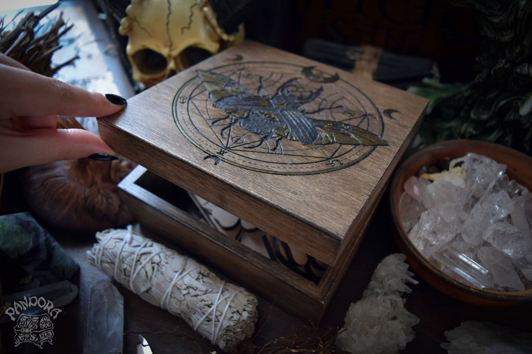 Box - Magic Beetle