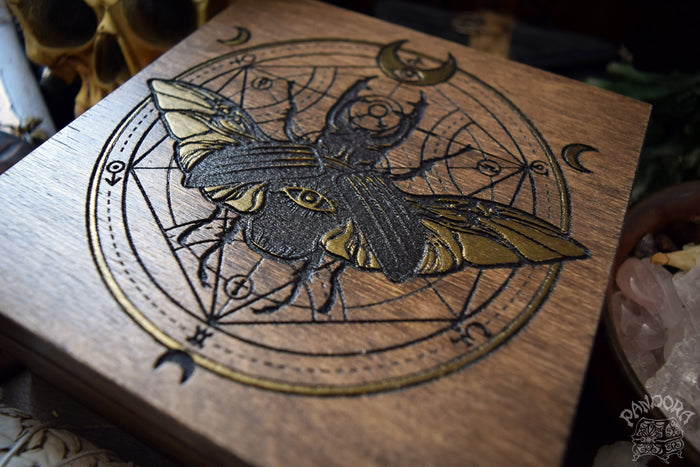 Box - Magic Beetle